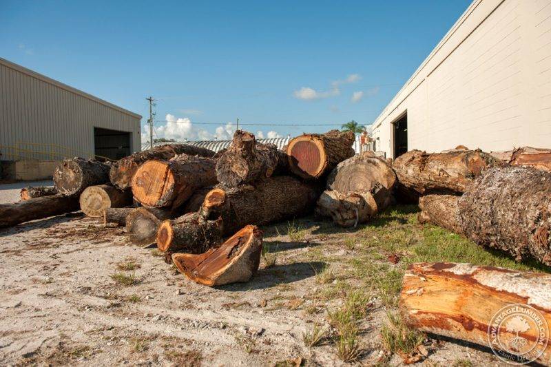Urban Live Edge Wood Slabs in Sarasota, FL - AdvantageLumber Blog