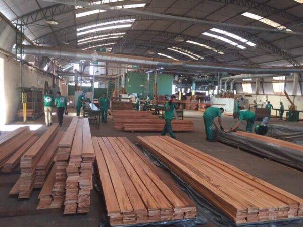 FSC Certified Hardwoods: A Sustainable Choice - AdvantageLumber Blog