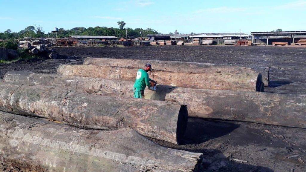 Bucking some big logs at our sawmill in Brazil - AdvantageLumber Blog