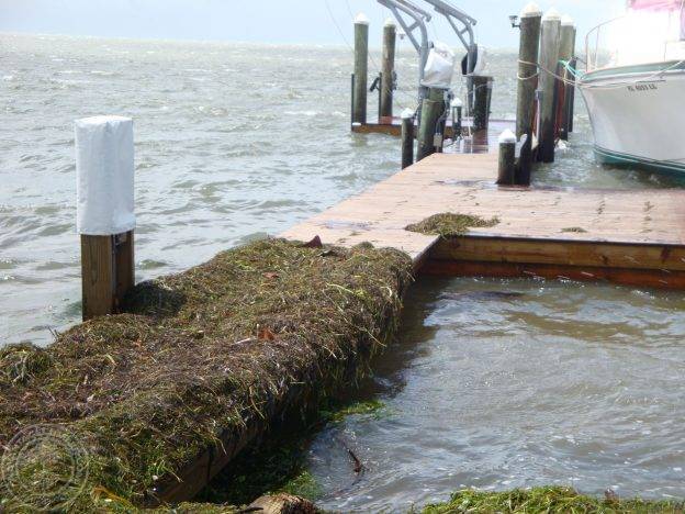 Hurricane Proof Boat Dock Strategies for Safety - AdvantageLumber Blog