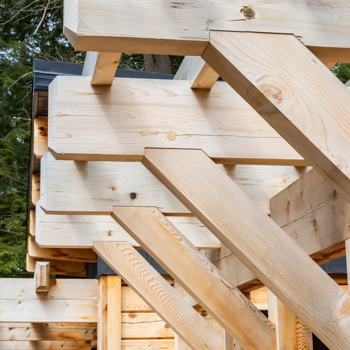 Western Red Cedar vs White Cedar: What's the Difference ...